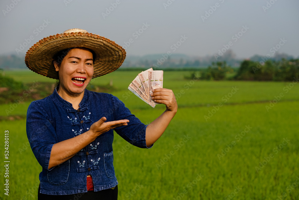Fotografia do Stock: Asian farmer woman is at paddy field, hold Thai ...