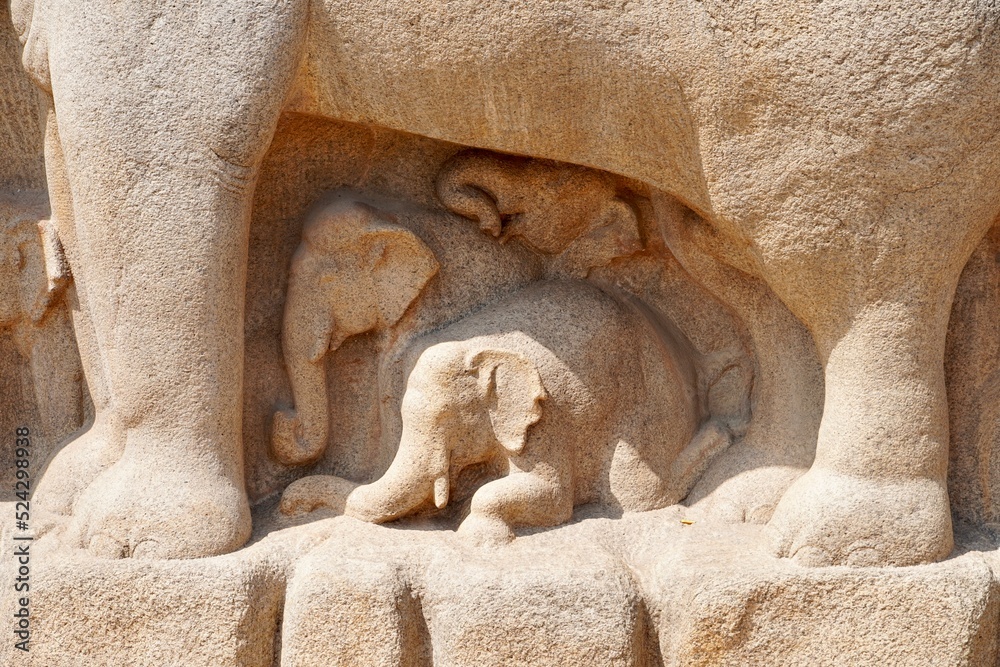 Bas relief rock cut sculptures of Elephant are carved in the monolithic ...