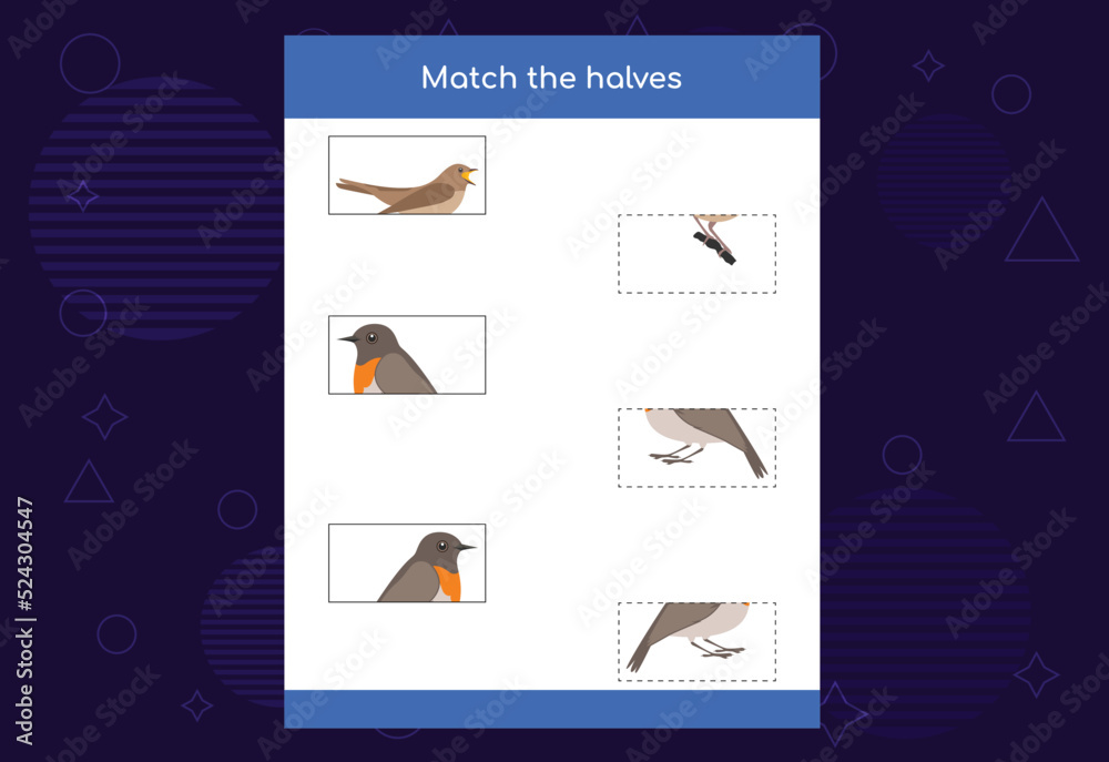 Matching game. Match halves of Birds. Educational game for children ...
