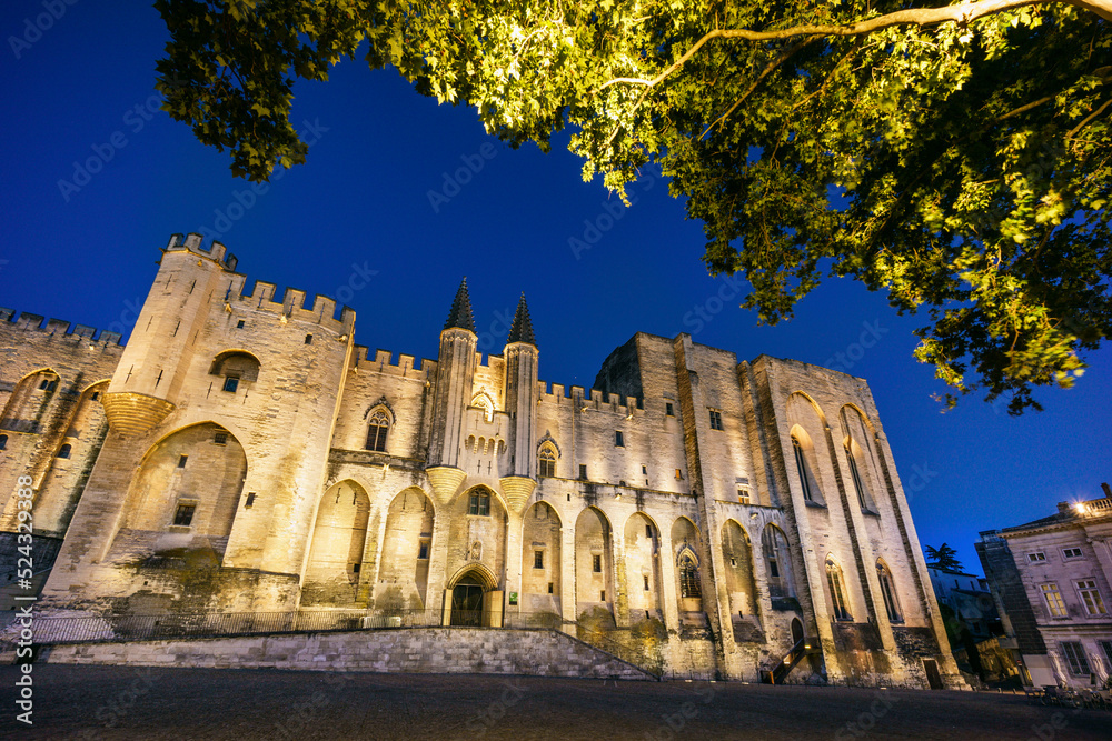Palacio de los Papas, gotico medieval,Avignon,Francia, Europa Stock ...