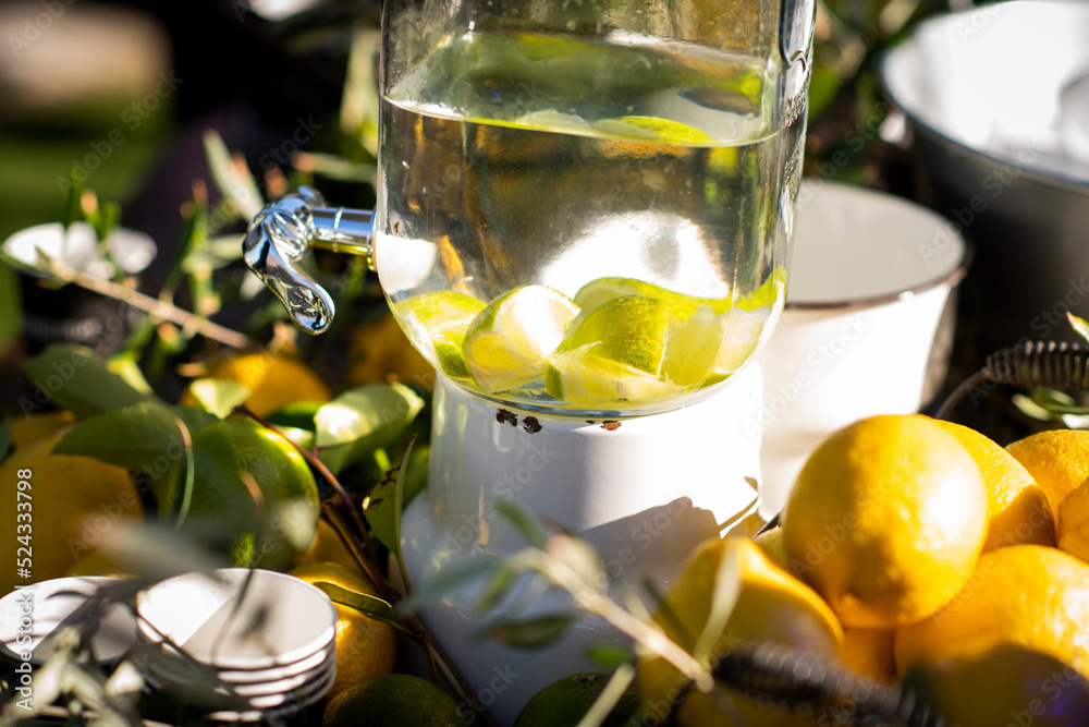 catering, platos, preparar, manualidades, coctel, preparar, chapa ...