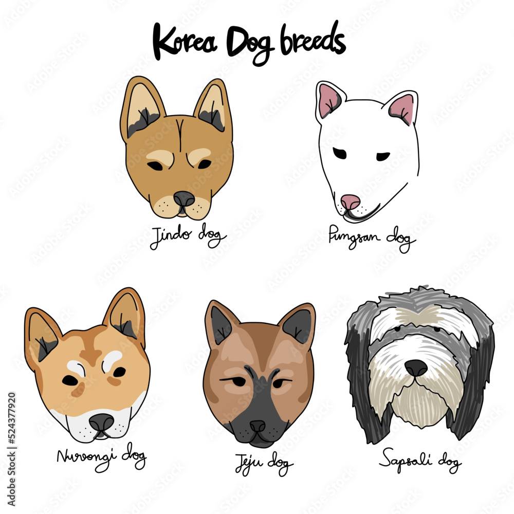 Korea dog breed cartoon chart vector illustration Stock Vector | Adobe ...