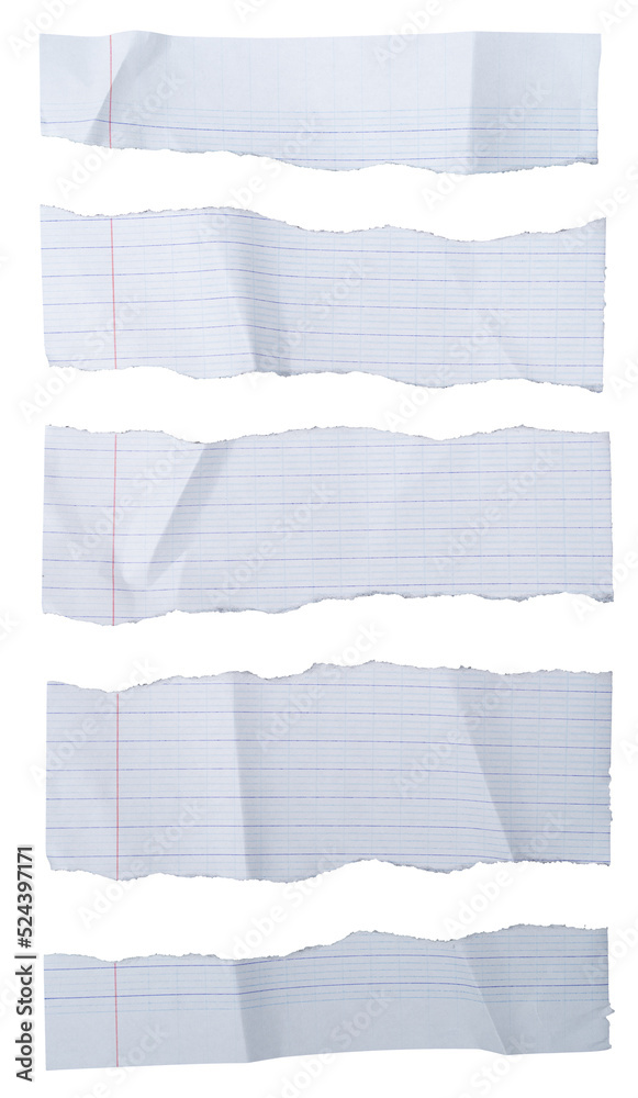 White ripped paper strips collection. Lined paper scraps with torn ...