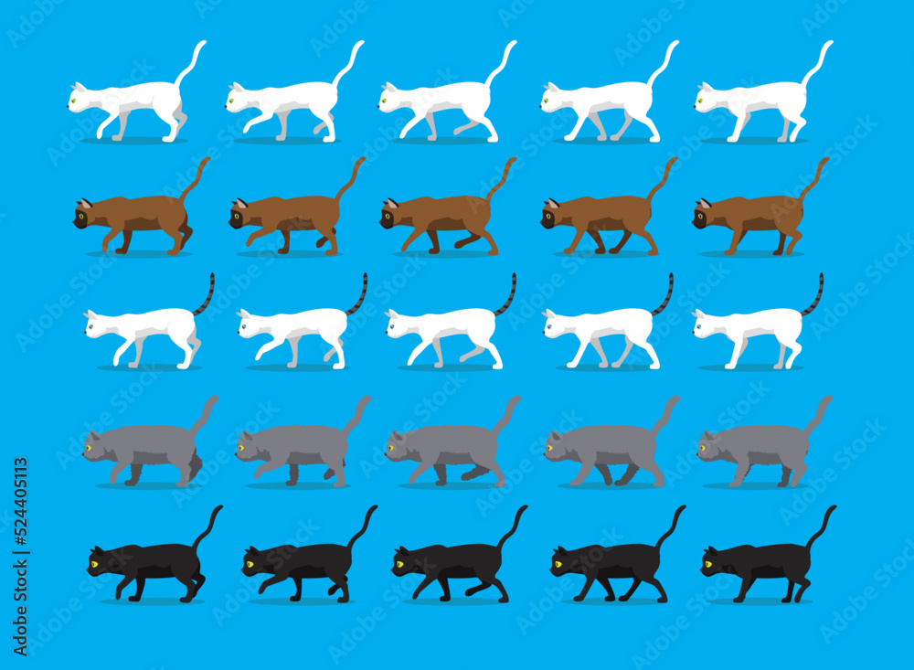 Animal Animation Sequence Cat Bombay British Shorthair Burmese Sphynx ...