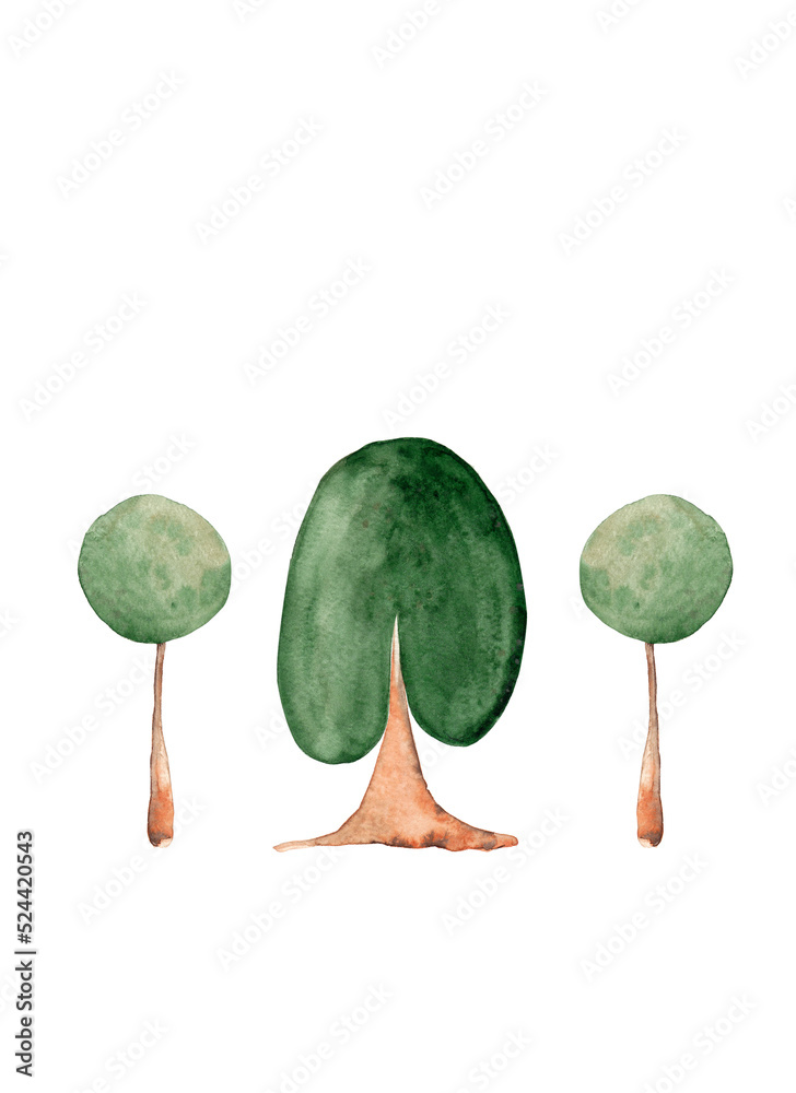 Watercolor trees: oak and ash isolated on white background. Hand drawn ...