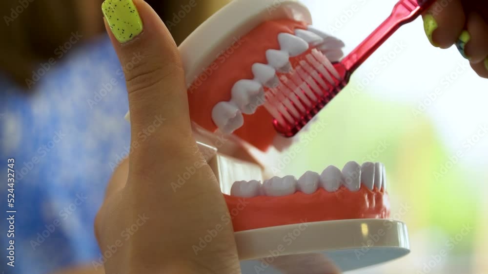 Close-up of the Dentist's hands shows on an artificial jaw how to ...