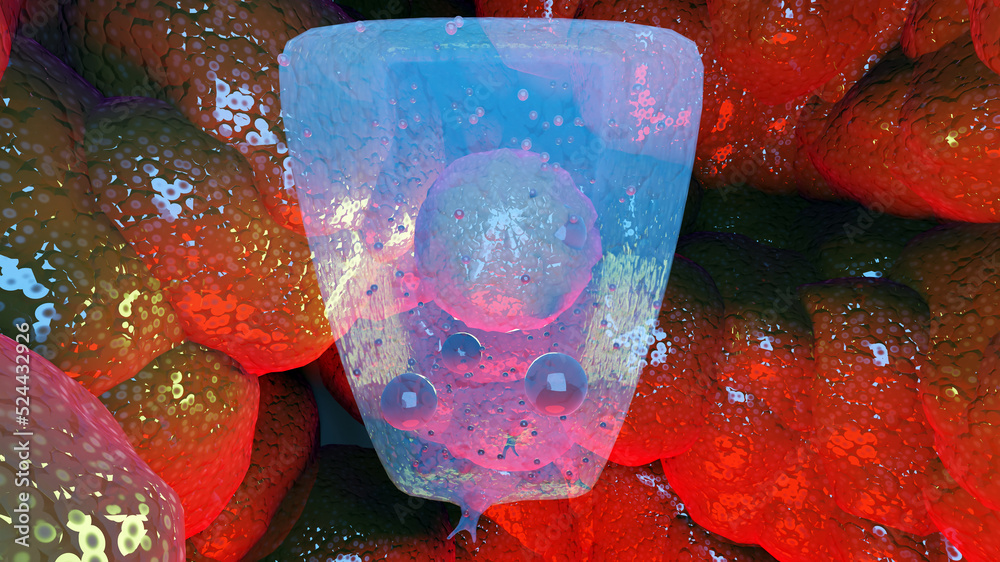 Close-up of thyroid Follicle structure with Follicular cell, C-cell ...