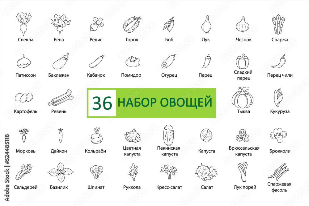 Vegetables icon set. Simple concise images of vegetables with names in ...