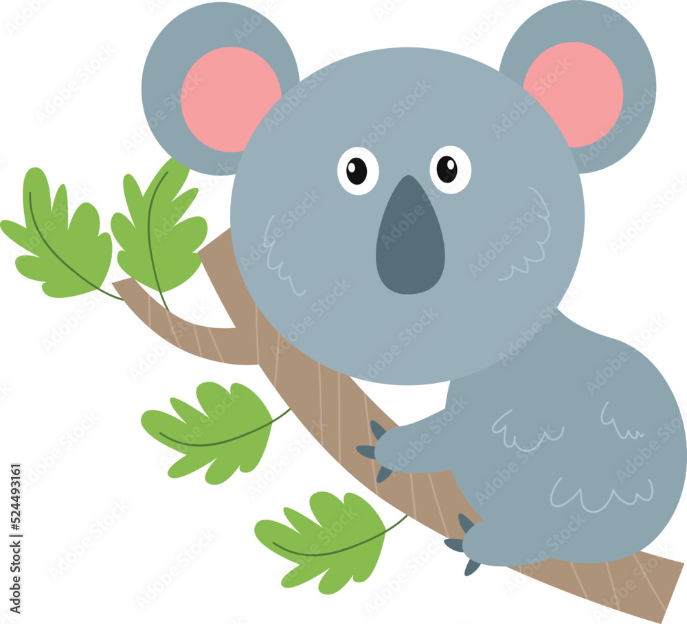 cute and adorable little koala on a white background. good ...
