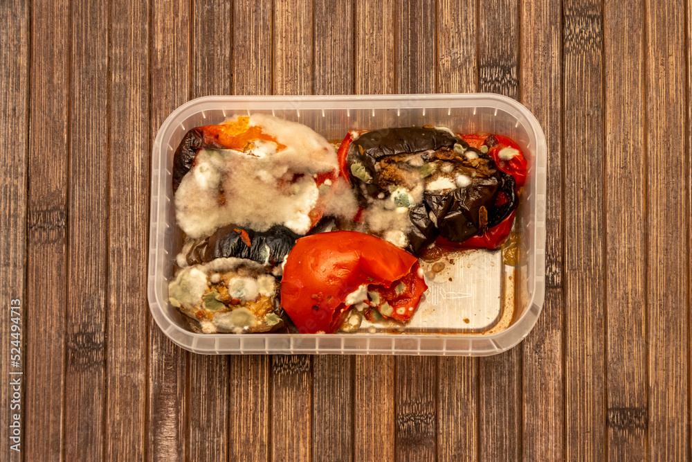 Decomposition Of Food