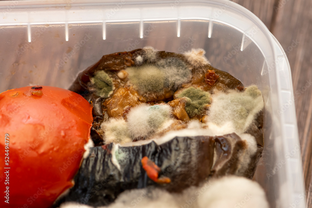 Decomposition Of Food