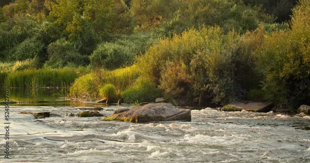Schnell fliessender Fluss mit Ufer im Hintergrund Stock ビデオ | Adobe Stock