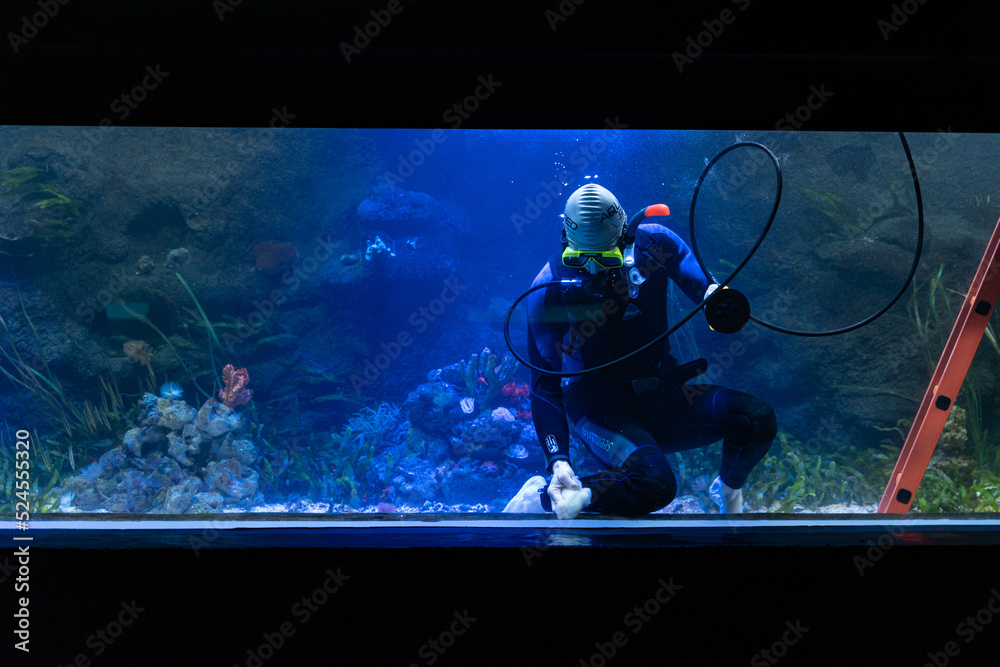 professional diver in a diving mask, cleans the inside of a large ...