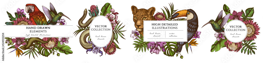 Tropical animals hand drawn frame templates. Vintage illustrations of ...