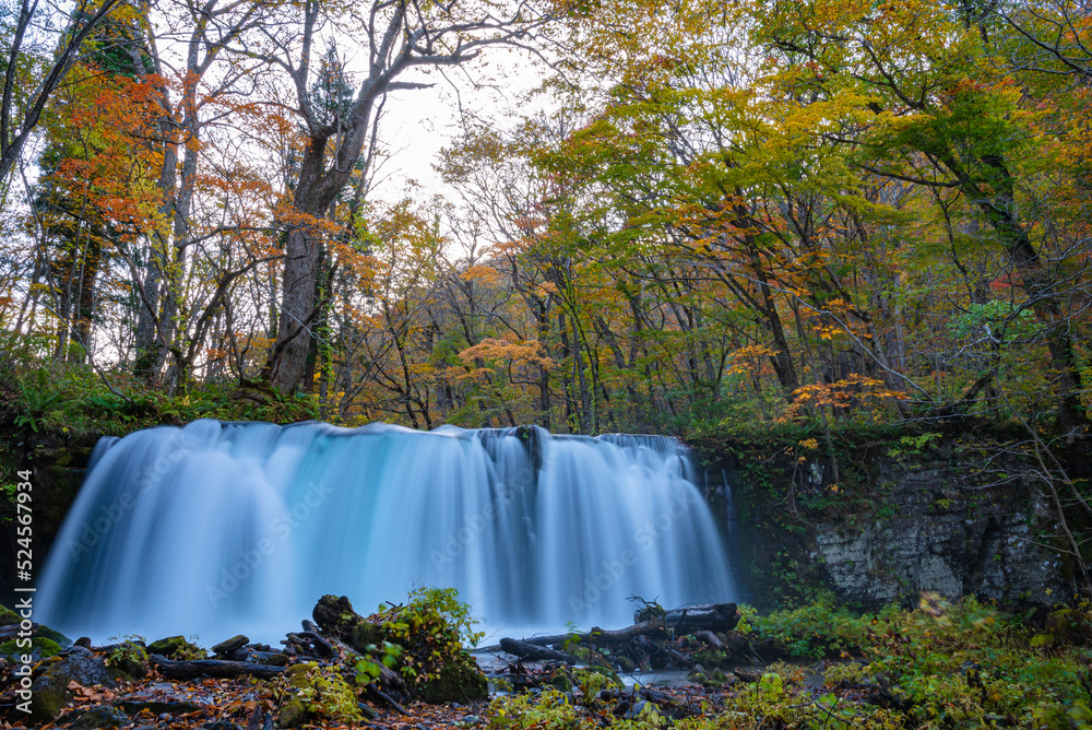 Choshi Otaki Falls ( Oirase Stream ) in sunny day, beautiful fall ...