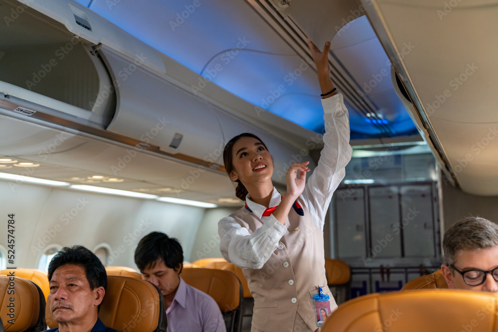 airplane, businessman, air hostess, air stewardess, aircraft, airline ...