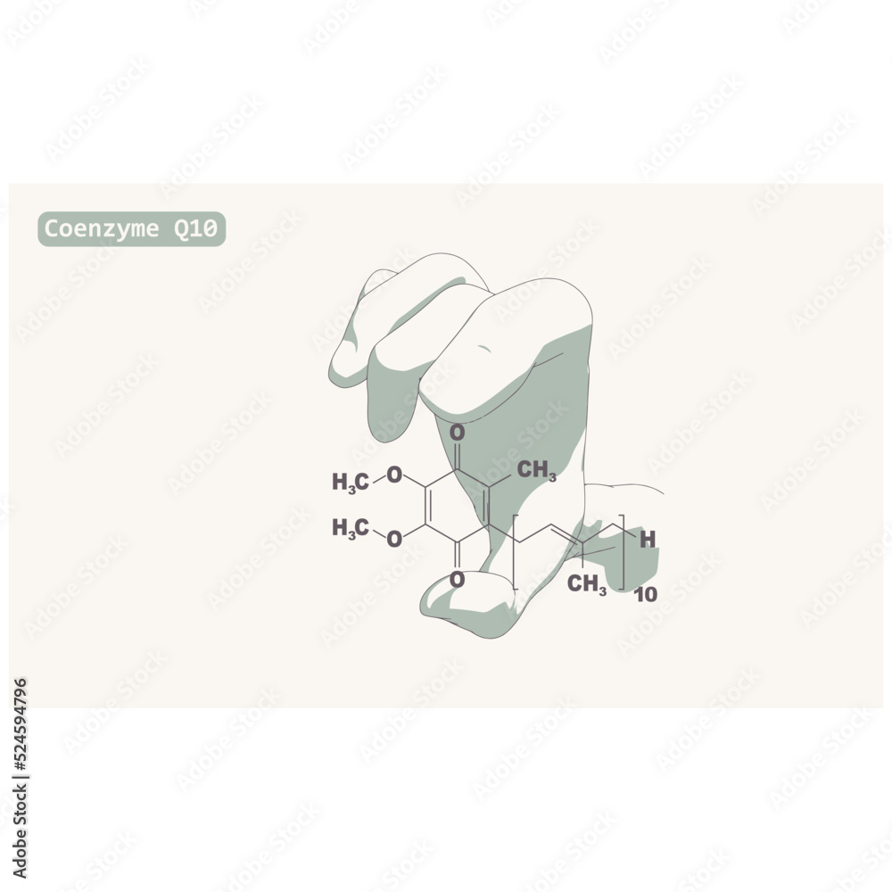 Hand holding chemical molecular formula of coenzyme Q10 Stock Vector ...