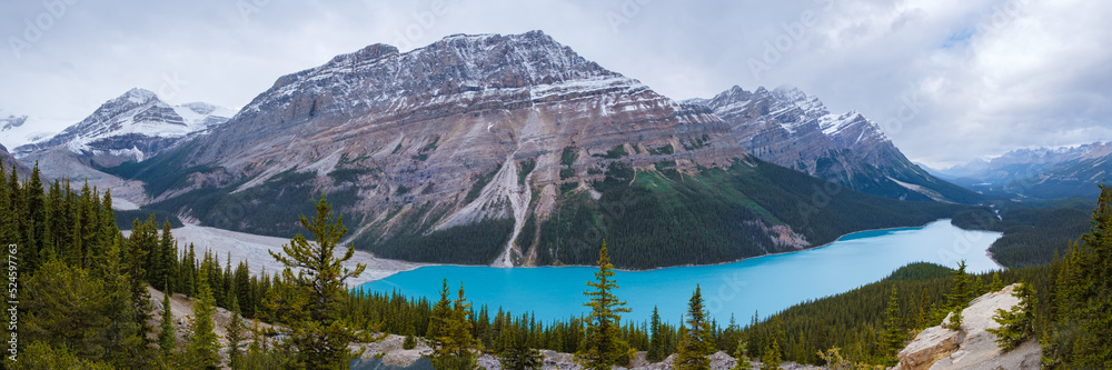 Lake Peyto in Banff National Park, Canada. Mountain Lake as a fox head ...