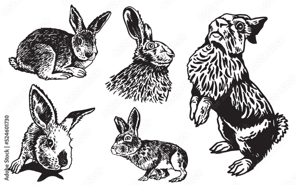 Graphical collection of rabbits isolated on white background,vector ...