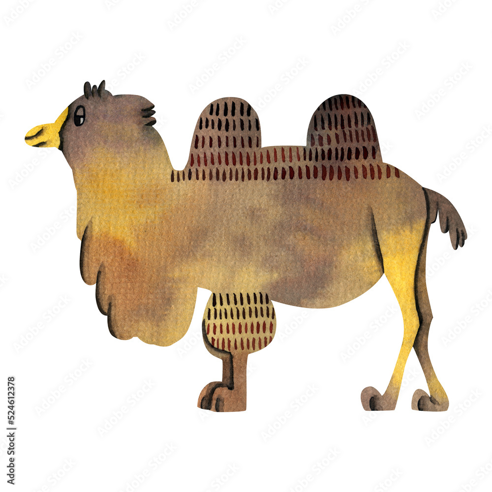 Watercolor two-humped camel. Cartoon illustration isolated on white ...