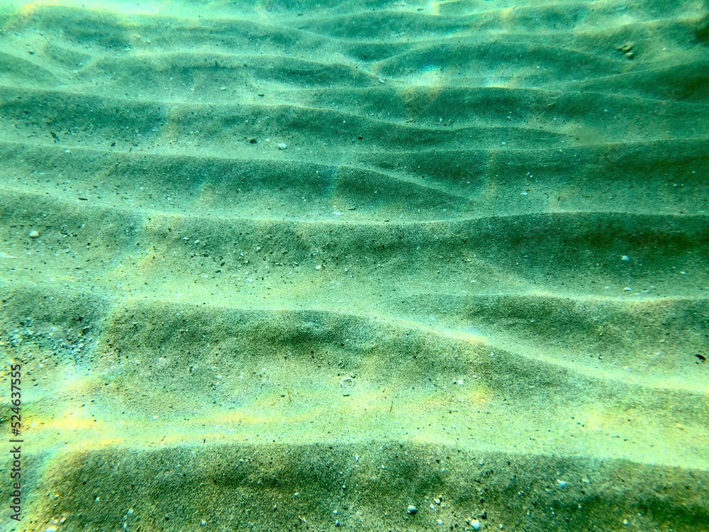 Fondo marino arenoso con pequeñas dunas de arena iluminadas por el sol ...