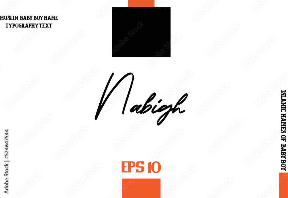 Cursive Text Typography of Baby Boy Arabic Name Nabigh Stock Vector ...