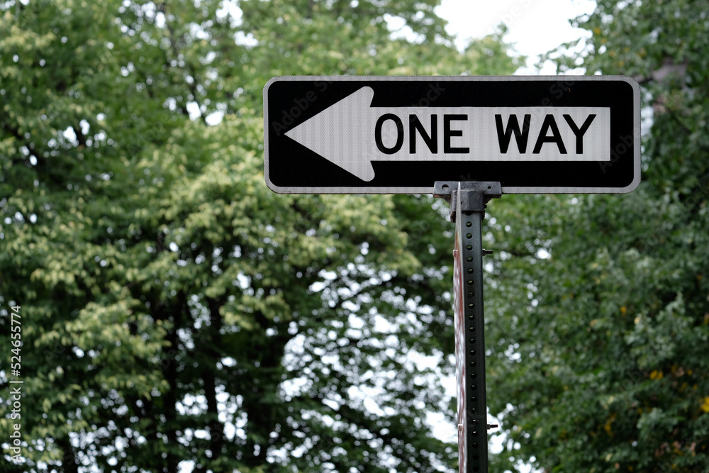 One Way road sign in front of green trees Stock Photo | Adobe Stock
