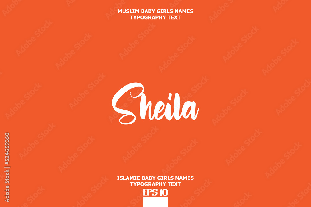 Muslim Female Name Vector Cursive Text Design Sheila Stock Vector ...