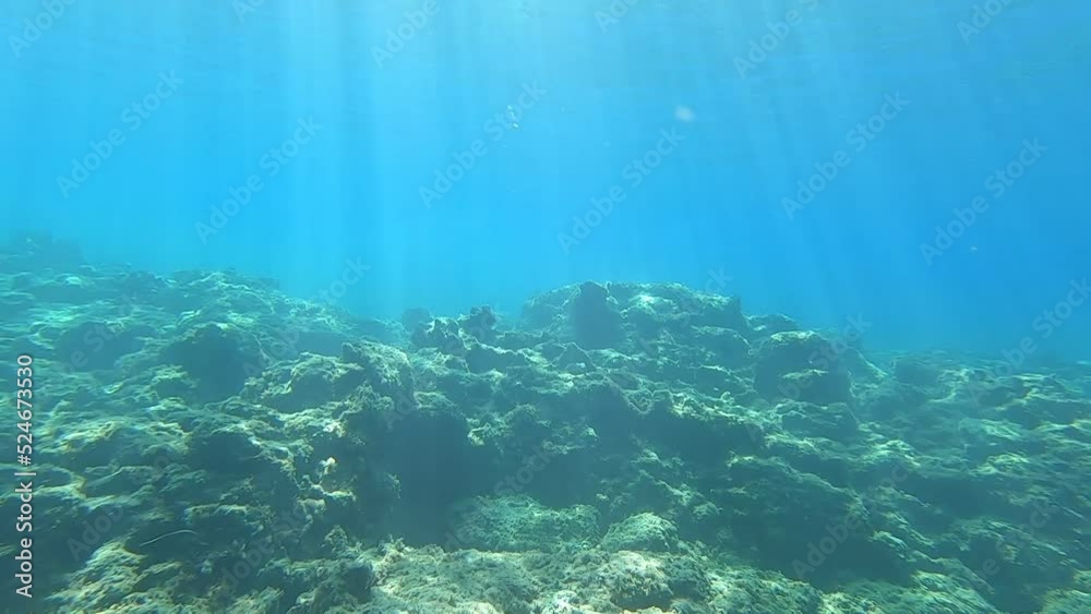 The rays of the sun shimmer under the water at a shallow depth ...