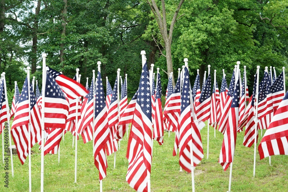 american flag in the garden Stock Photo | Adobe Stock