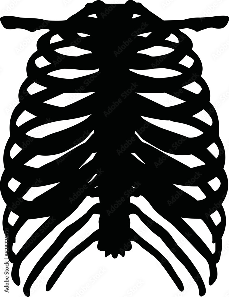 Vetor de Rib Cage Eps Vector, Silhouette, Logo, Rib Cage Eps Vector Cut ...