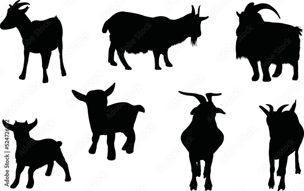 Pygmy Goat Eps Vector, Silhouette, Logo, Pygmy Goat Eps Vector Cut ...
