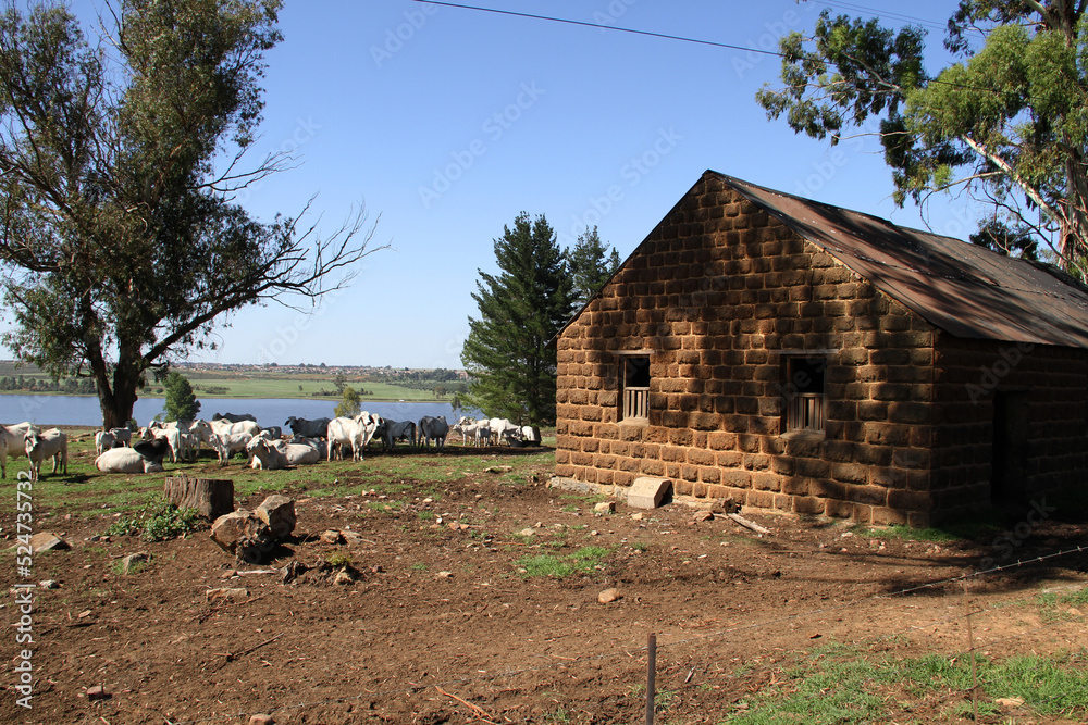 Old barn in the countryside. Few know about Balfour Dam along the banks ...