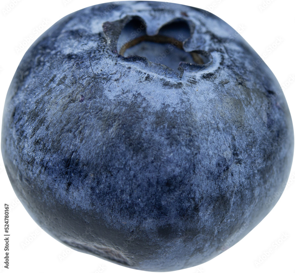 blueberry Stock-Foto | Adobe Stock