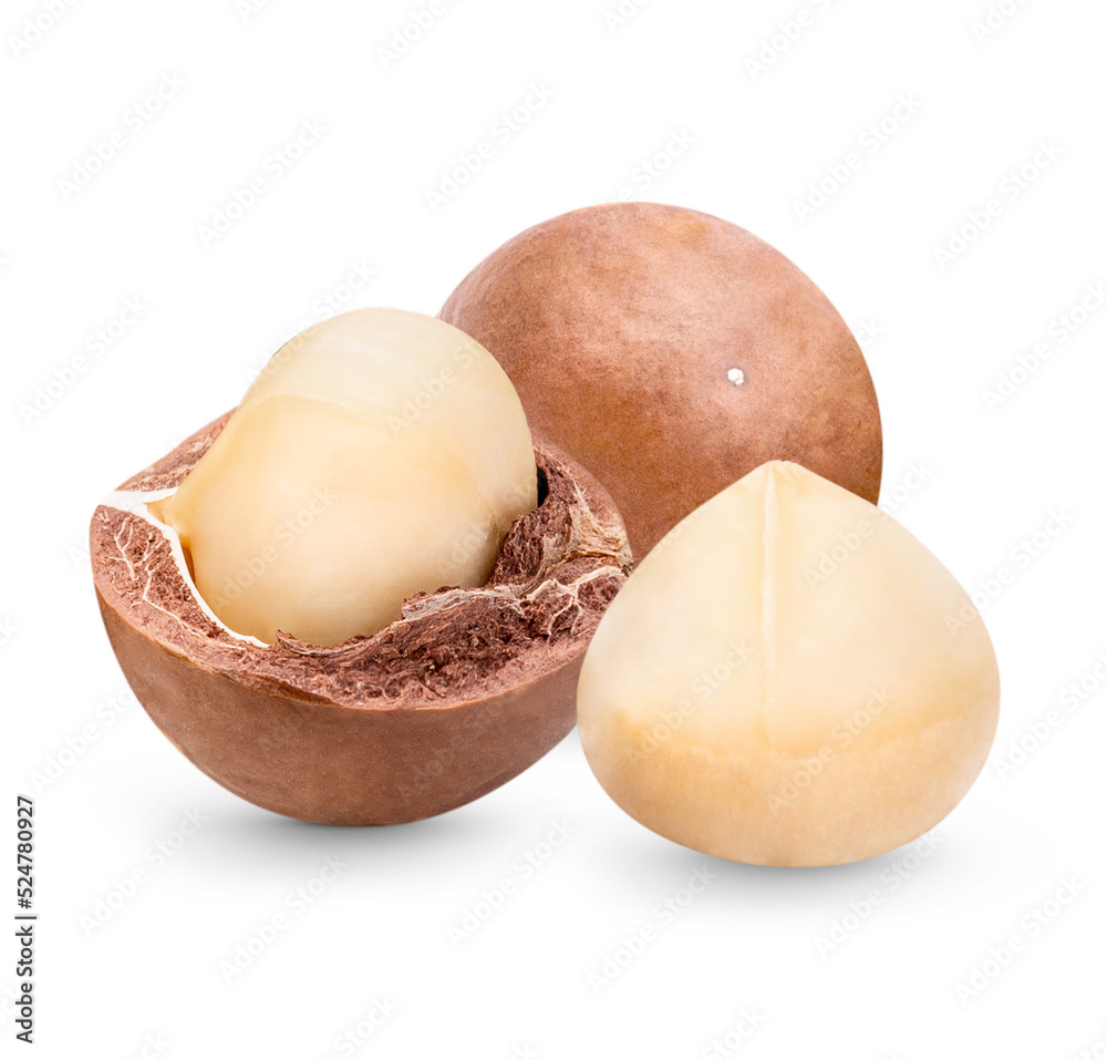 Macadamia nuts isolated on transparent background (.PNG) Stock Photo ...