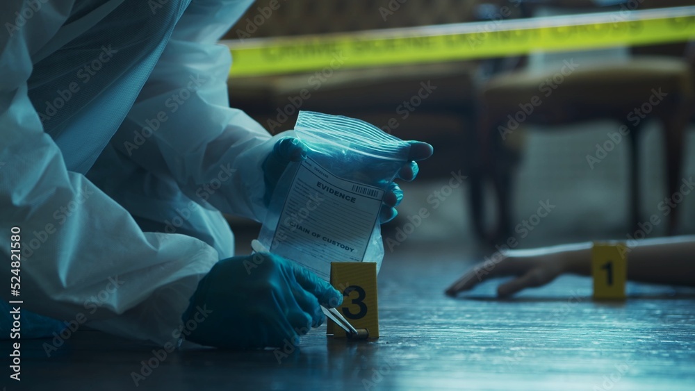 Detective Collecting Evidence in a Crime Scene. Forensic Specialists ...