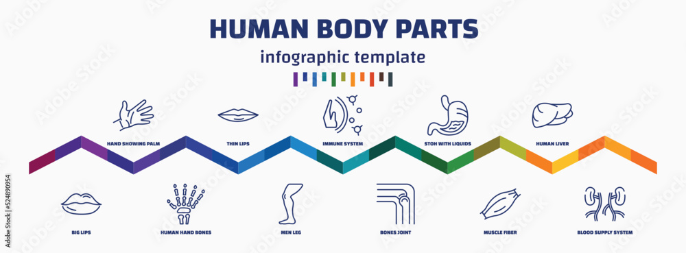 infographic template with icons and 11 options or steps. infographic ...