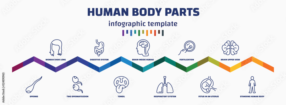infographic template with icons and 11 options or steps. infographic ...