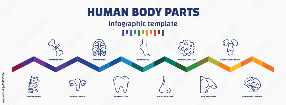 infographic template with icons and 11 options or steps. infographic ...