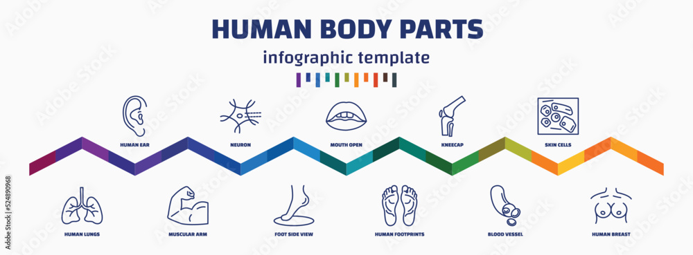 infographic template with icons and 11 options or steps. infographic ...