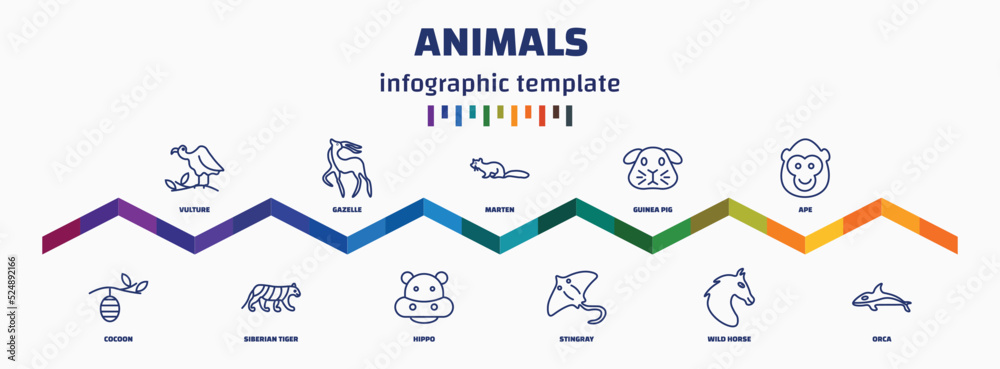 infographic template with icons and 11 options or steps. infographic ...