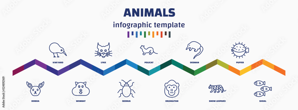 infographic template with icons and 11 options or steps. infographic ...