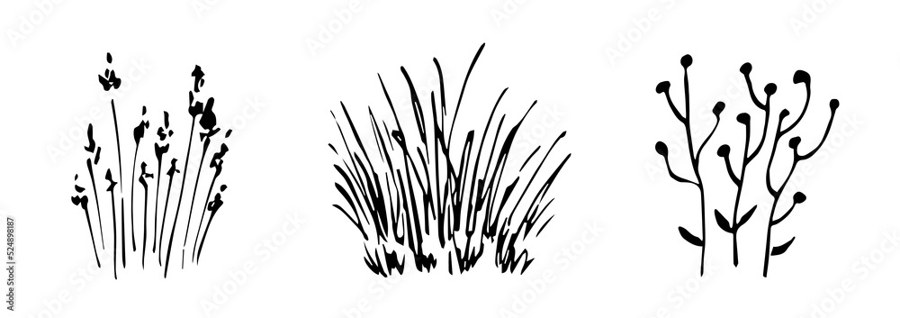 Simple black outline vector drawing. Sketch in ink. Wildflowers, grass ...