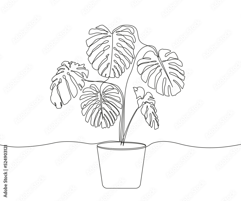 One line drawing of monstera in a flowerpot. Continuous one line of ...