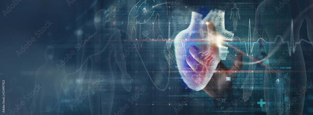 Cardiologist doctor diagnosis patient heart functions and blood vessel ...