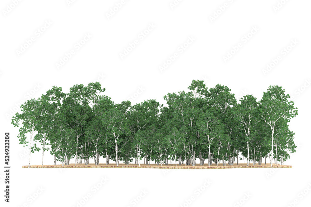 Forest on transparent background. 3d rendering - illustration Stock ...