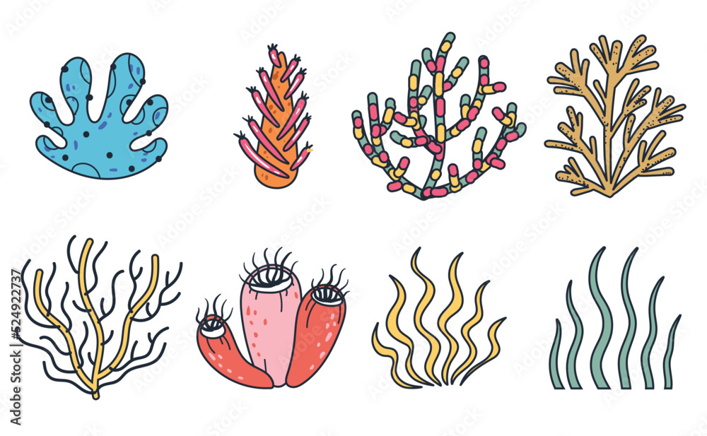 Coral Graphic Design