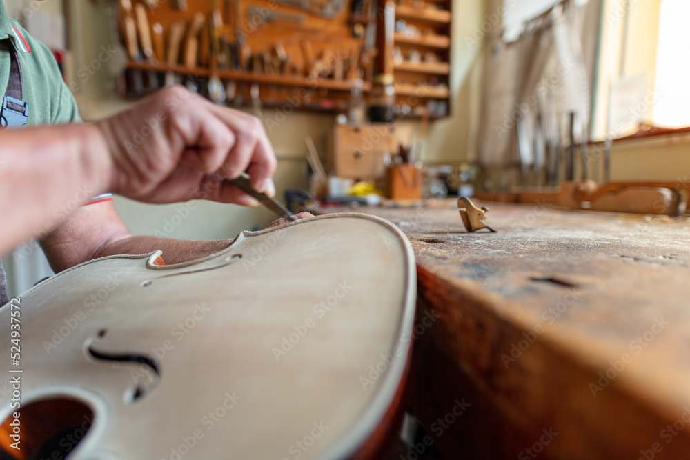 luthier carving the shape of the outside of the front of a violin with ...