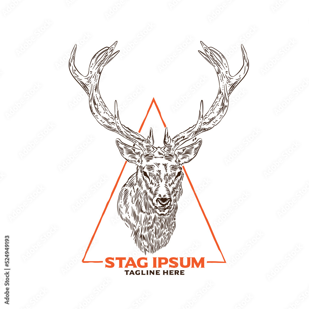 Stag vector illustration in hand drawn style, perfect for tshirt design ...