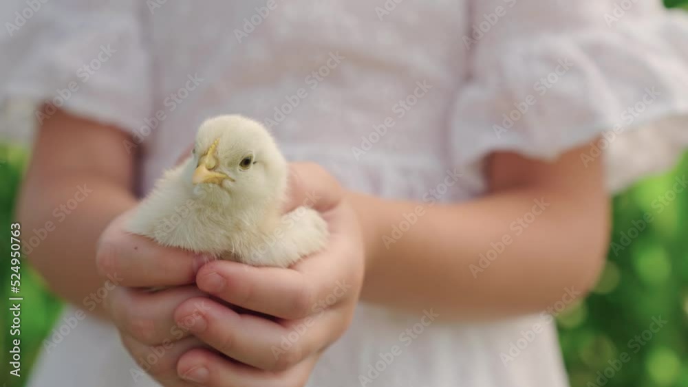Communication of child with animals, animal therapy. Child on farm ...